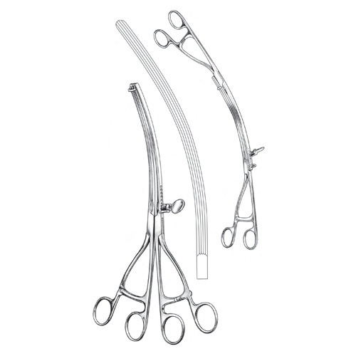 Lane Intestinal And Stomach Clamps, Curved, 30cm | Rhein Website